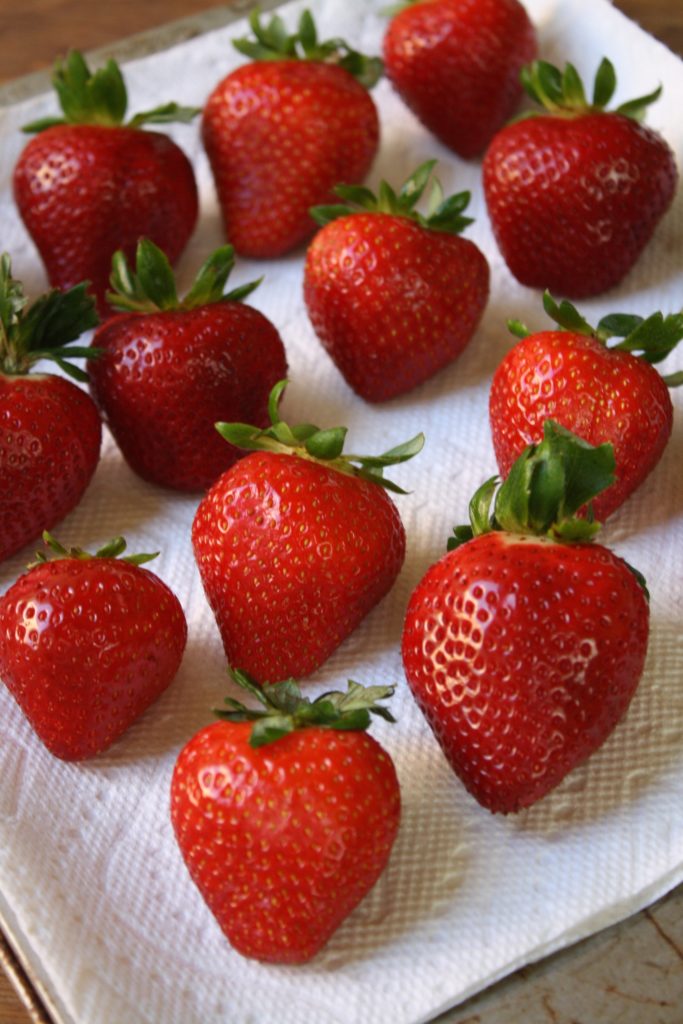 Fresas cubiertas con chocolate - SAVOIR FAIRE by enrilemoine