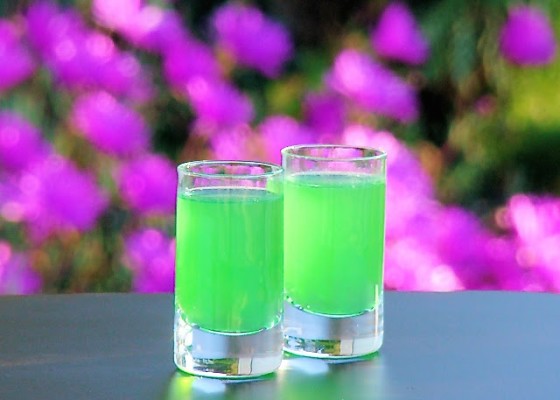 Melon Bomb - EnriLemoine