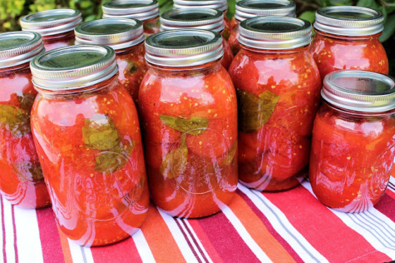 Cómo envasar tomates {más que amor frenesí} - Enri Lemoine