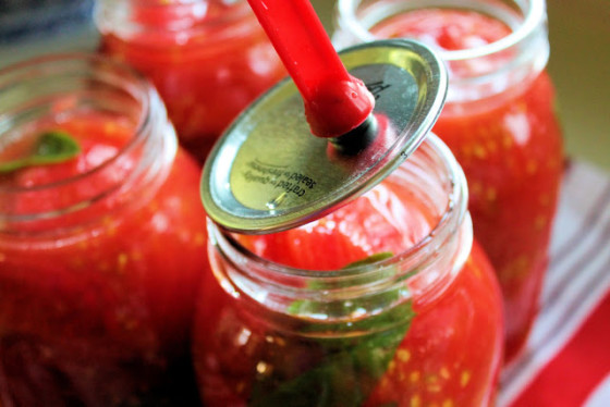 Cómo envasar tomates {más que amor frenesí} - Enri Lemoine