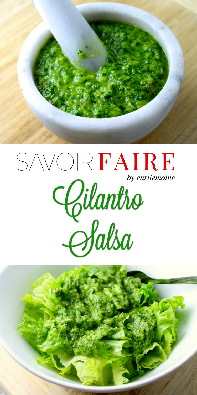 Cilantro Salsa Recipe - EnriLemoine