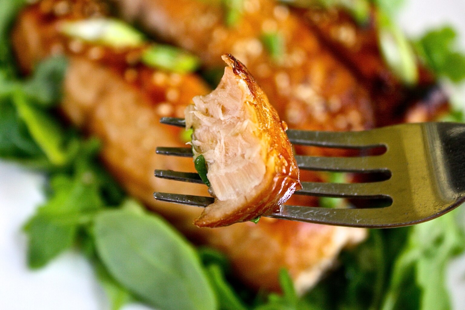 Honey Baked Alaska Salmon Strips - EnriLemoine