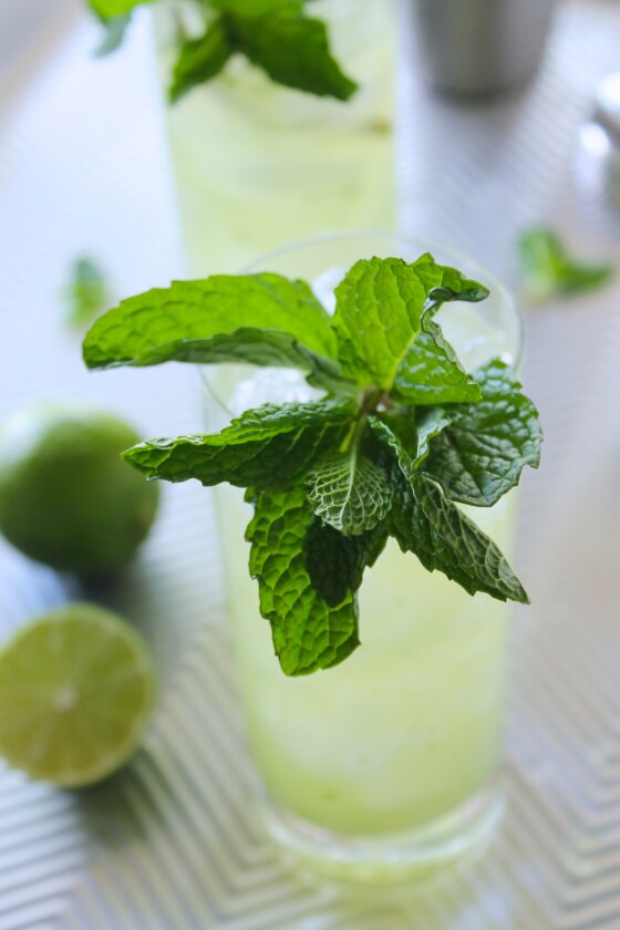 The Authentic Mojito Recipe + VIDEO - EnriLemoine
