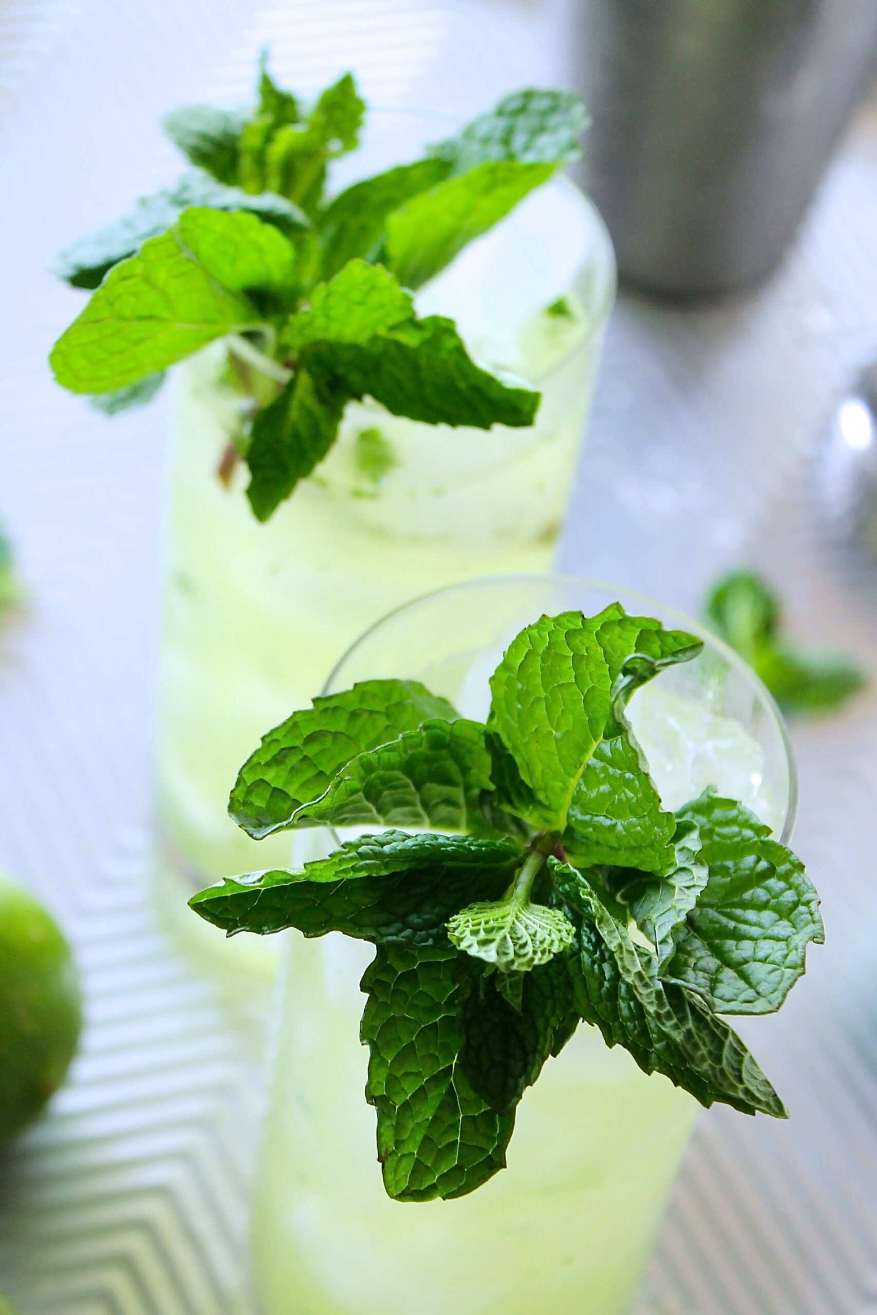 The Authentic Mojito Recipe + VIDEO - EnriLemoine