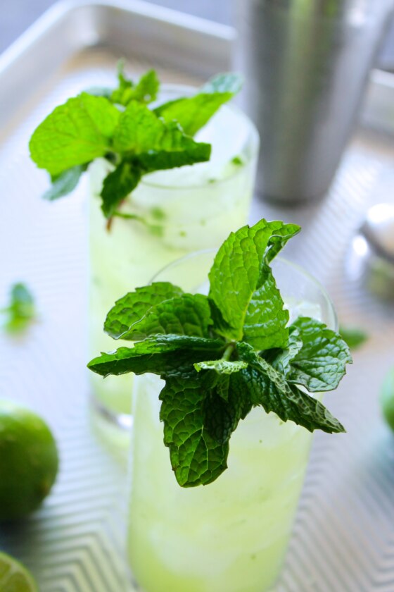 The Authentic Mojito Recipe + VIDEO - EnriLemoine
